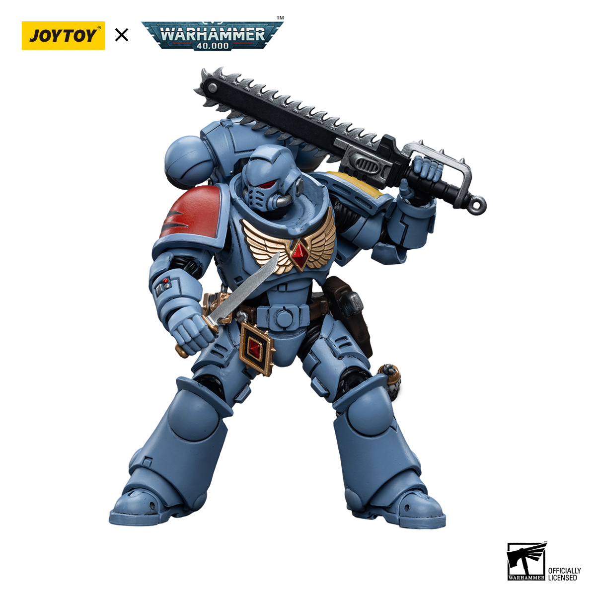 Space Wolves Intercessors